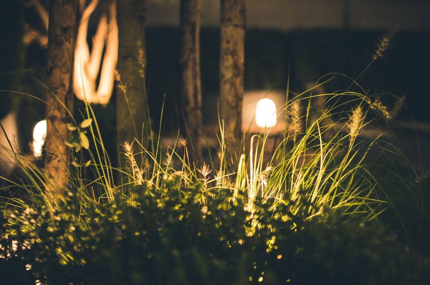 Designing beautiful garden lighting at night HollandGreen