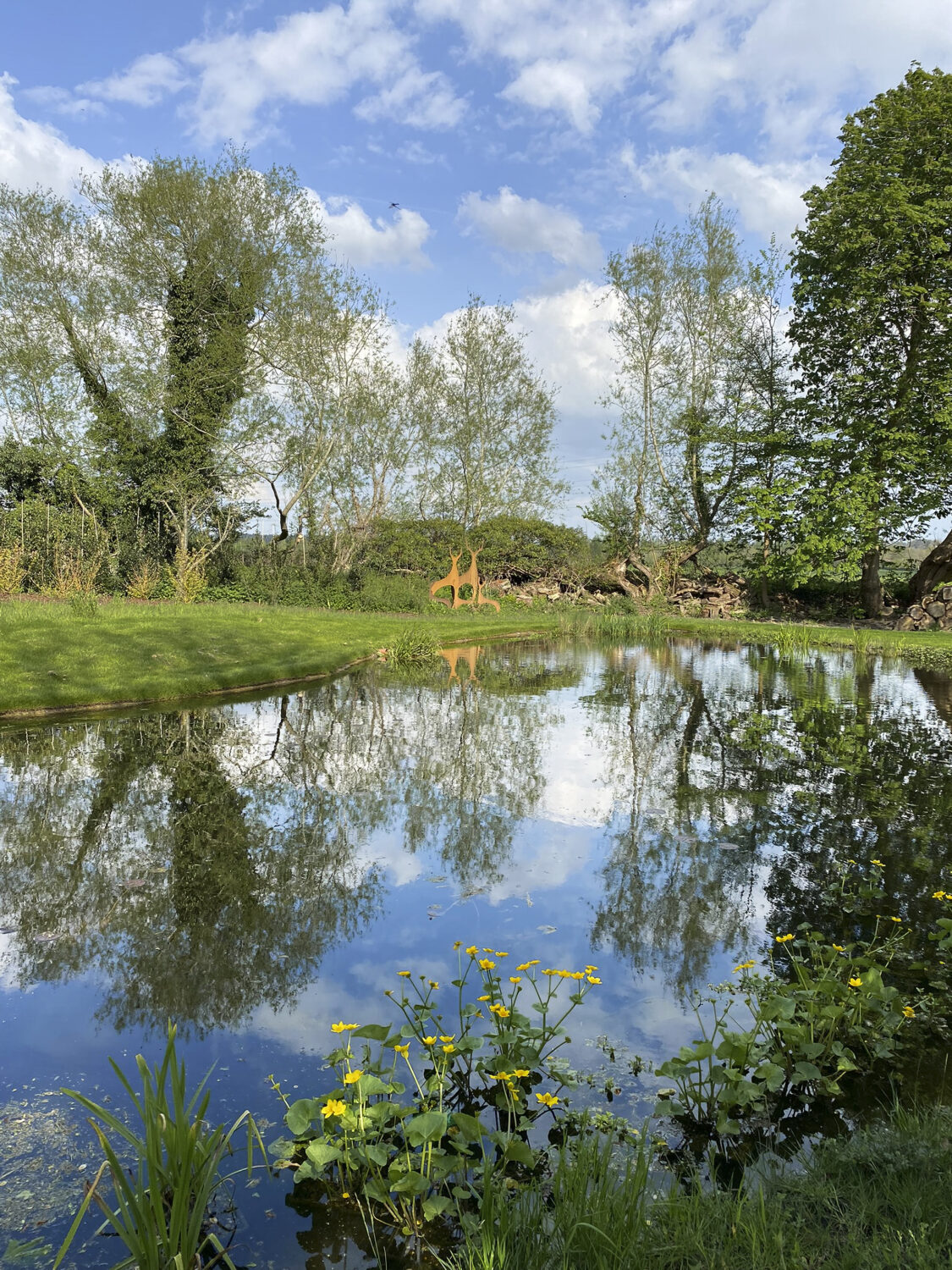 Meadow View Wildlife Garden - HollandGreen
