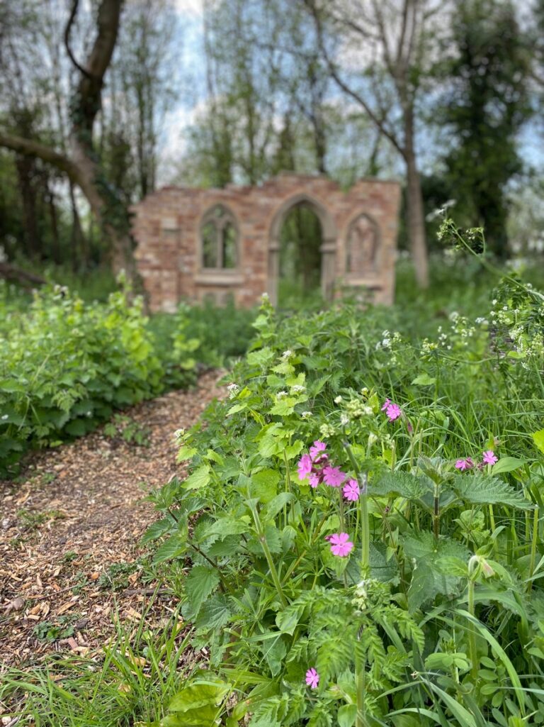 Meadow View Wildlife Garden - HollandGreen